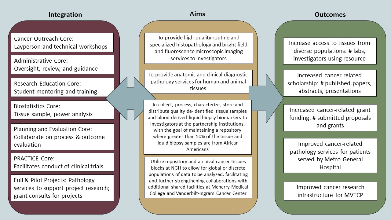 MVTCP TP1 Figure – Meharry-Vanderbilt-Tennessee State Cancer Partnership